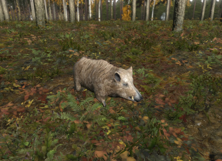 Animals - Original OriginsMod